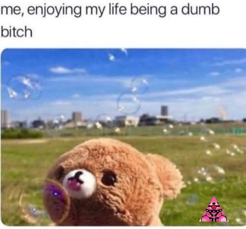 Gratitude List 11/18 – Cockroach Chronicles